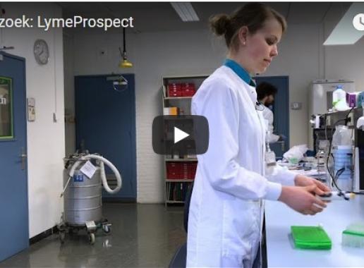 Nle Nederlands Lymeziekte Expertisecentrum Nederlands Lymeziekte